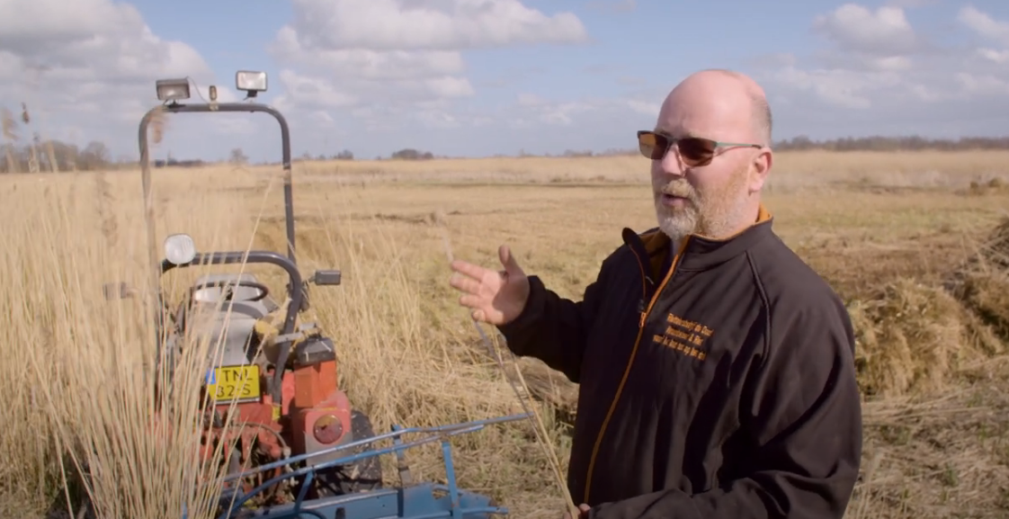 Rietteler Johan over de lokale productie van riet voor uw dak ...